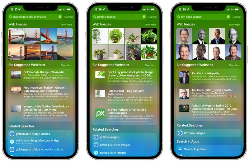 iOS 15 Spotlight Improvements: Rich Results, Web Images, Photos Search ...