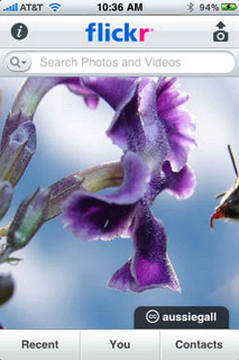 Flickr App Pops into App Store - MacRumors