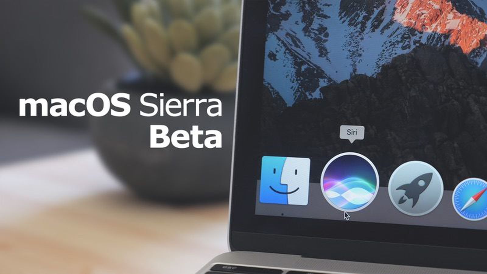 Apple Seeds Seventh Beta of macOS Sierra to Developers and Public Beta ...