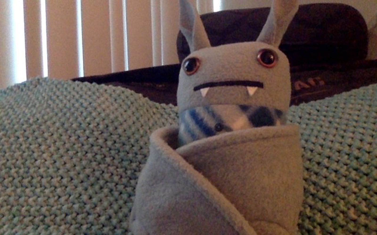 How to Capture a Live Photo in FaceTime on iOS 11 and macOS High Sierra ...