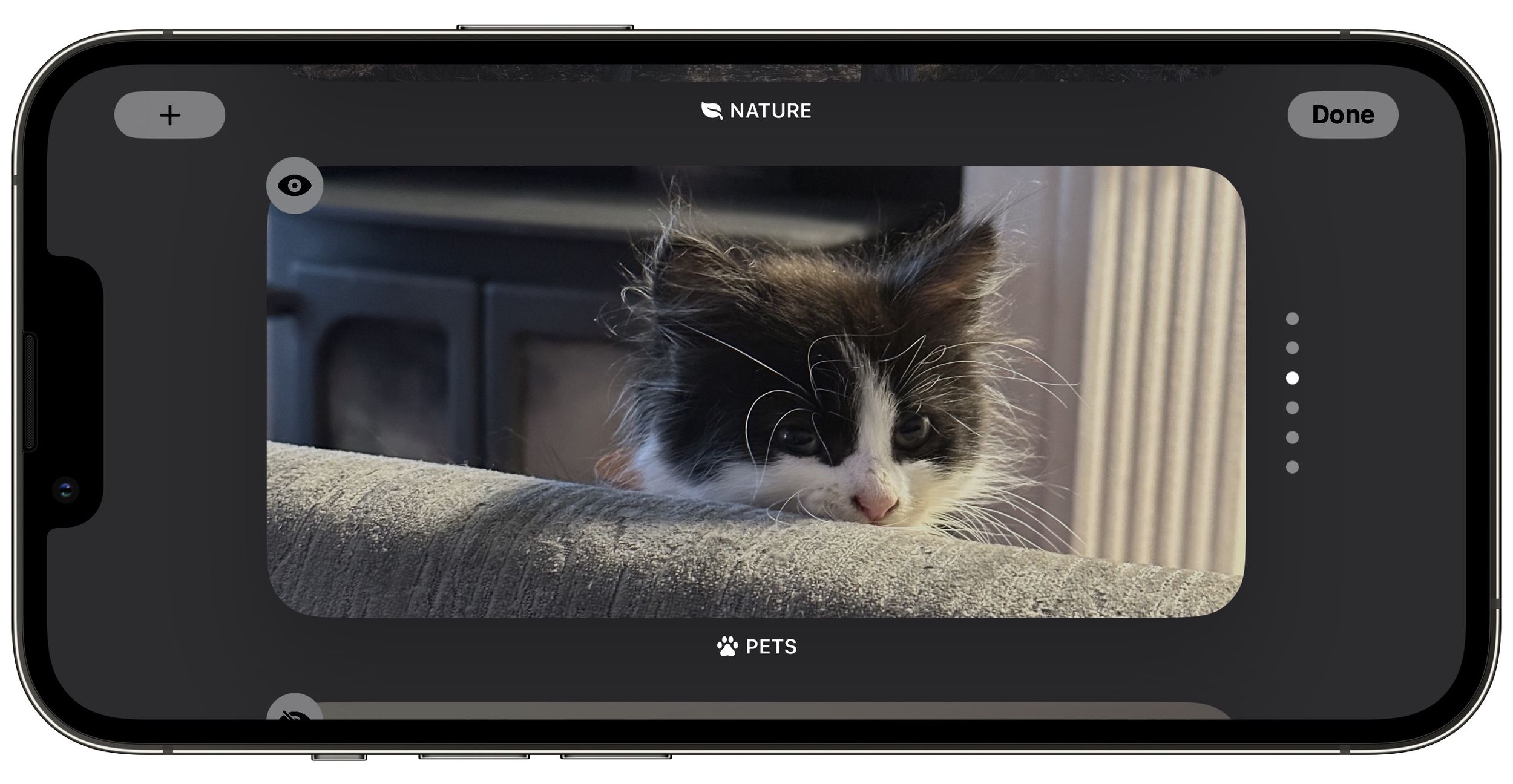 iOS 17: How to Customize the Photos Screen in StandBy Mode - MacRumors