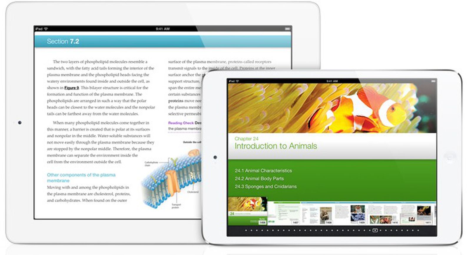 Apple Has Sold 8 Million iPads to Worldwide Educational Institutions ...