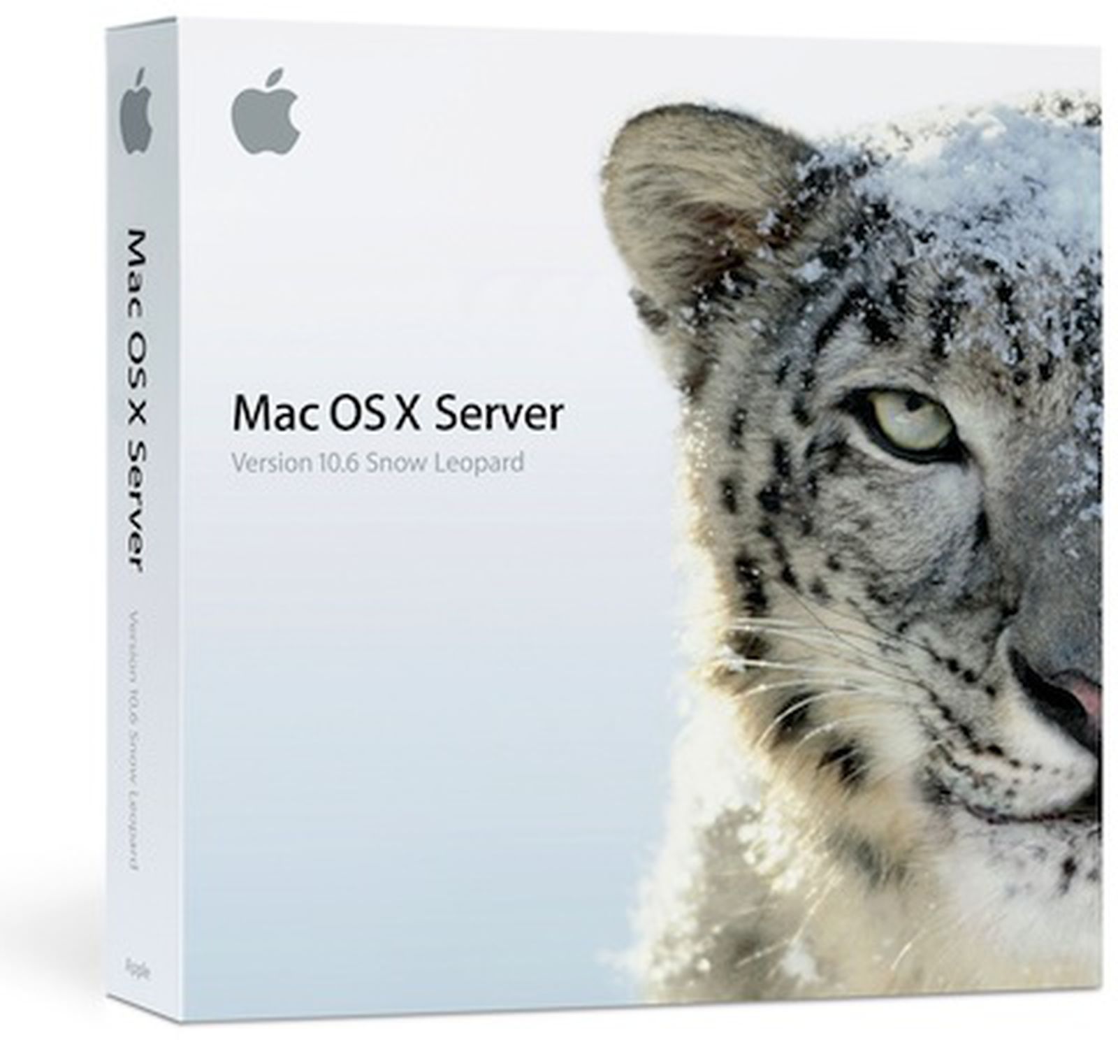 Steve Jobs Reassured Customer Concerned for Mac OS X Server's Future ...