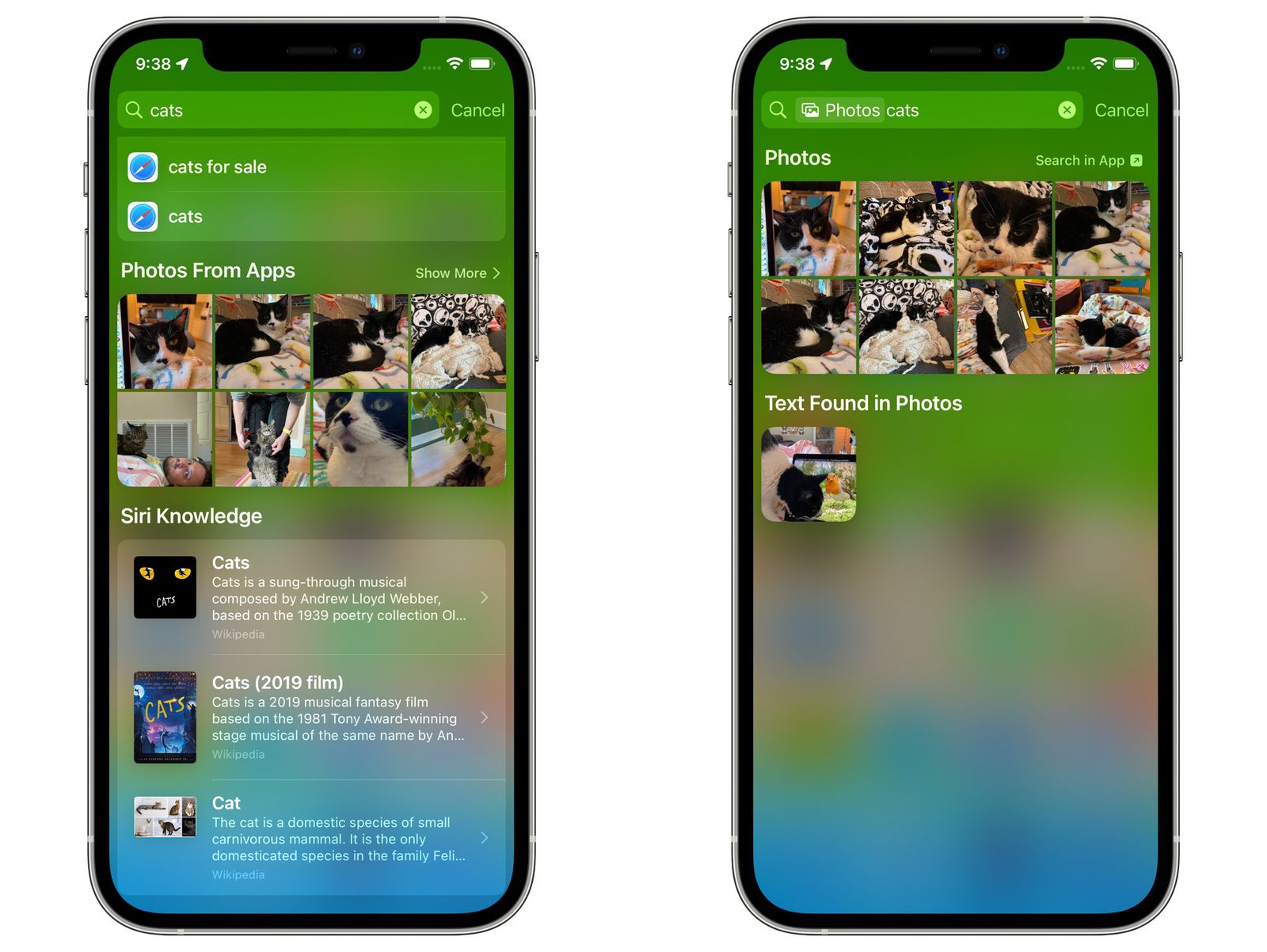 iOS 15 Photos Guide: Features, Text Recognition, Changes - MacRumors