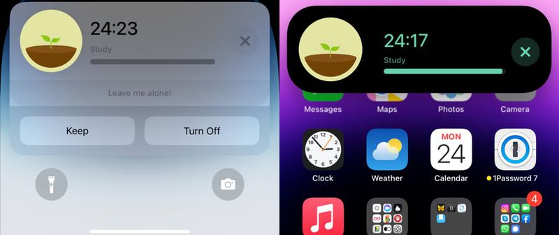 Here Are All the Apps That Have Added Live Activities and Dynamic ...