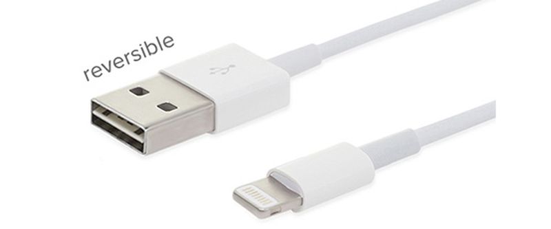 Third-Party Vendor Beats Apple to Market With Reversible Lightning USB ...