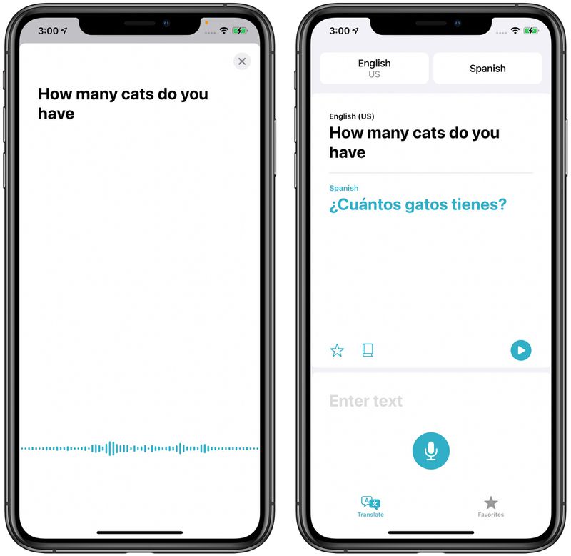 iOS 14: Apple's Built-In iPhone Translate App That Works With 11 ...