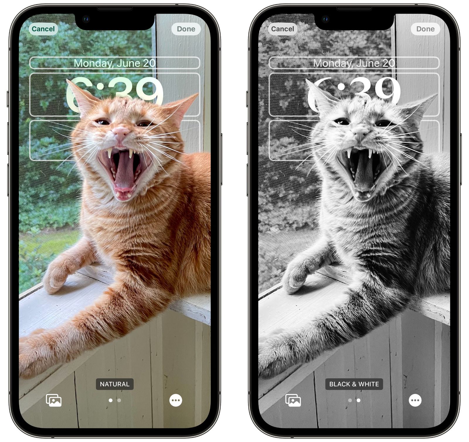 iOS 16 Lock Screen Guide: Widgets, Customization Options and More ...